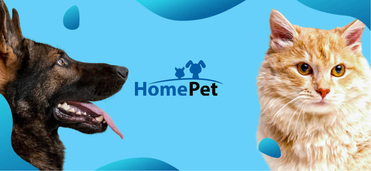Homepet – Jolitex Ternille